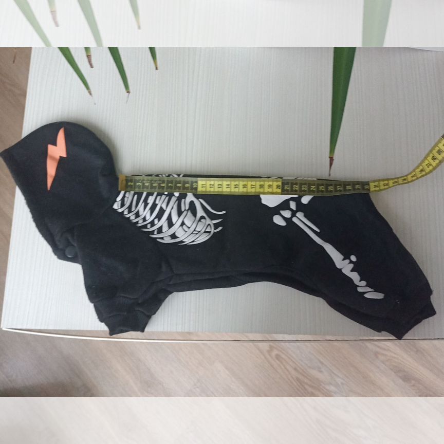 Комбинезон, ошейник, шлёвка