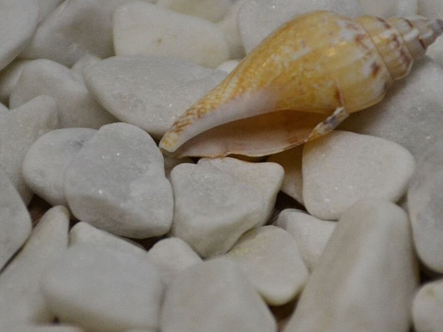 Белая галька для аквариума,поделок, композиций