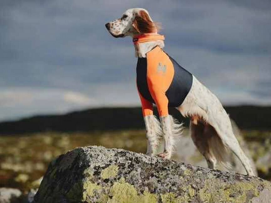 Non-Stop Dogwear Protector T-Shirt