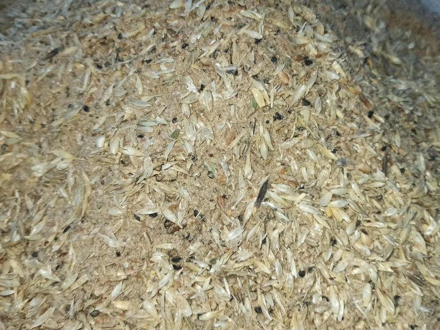 Зерноотходы(шелуха)