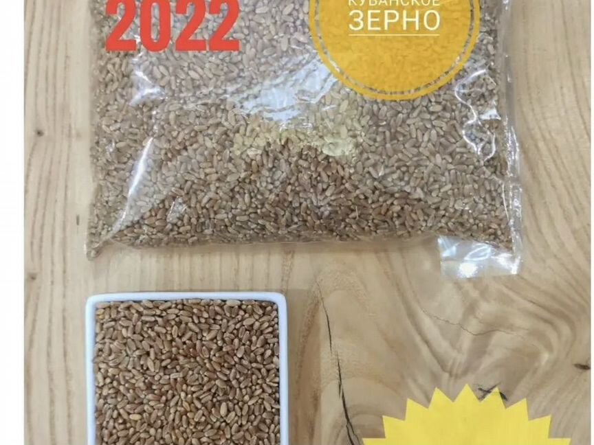 Пшеница для проращивания