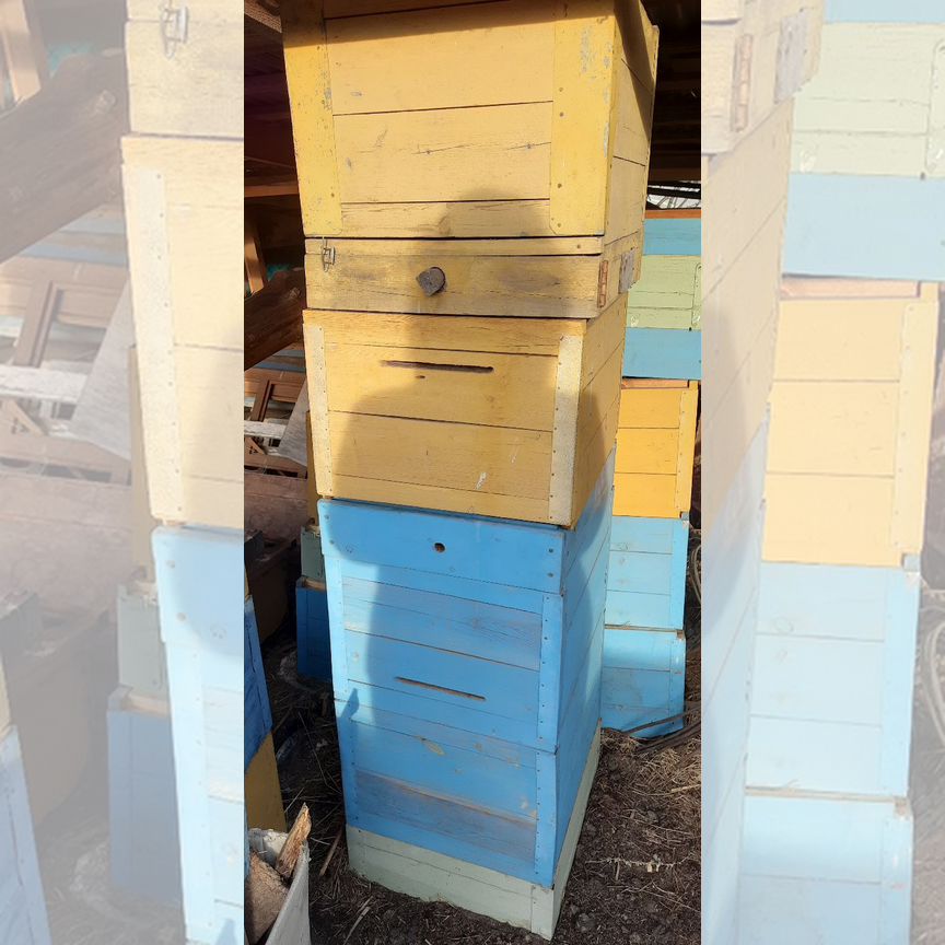 Улий для пчел бу