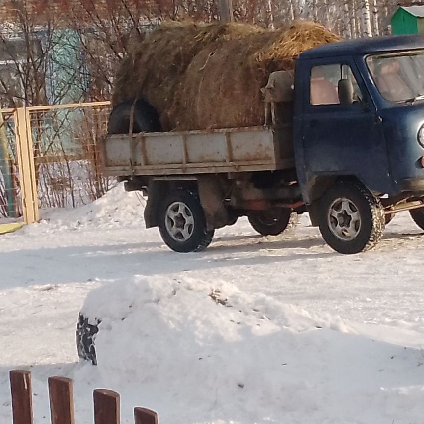 Сельское хозяйство сено