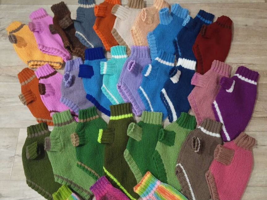 Одежда для животных