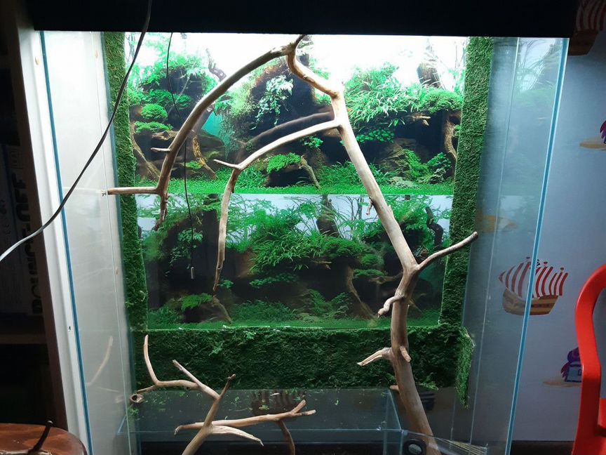 Террариум для рептилий бу