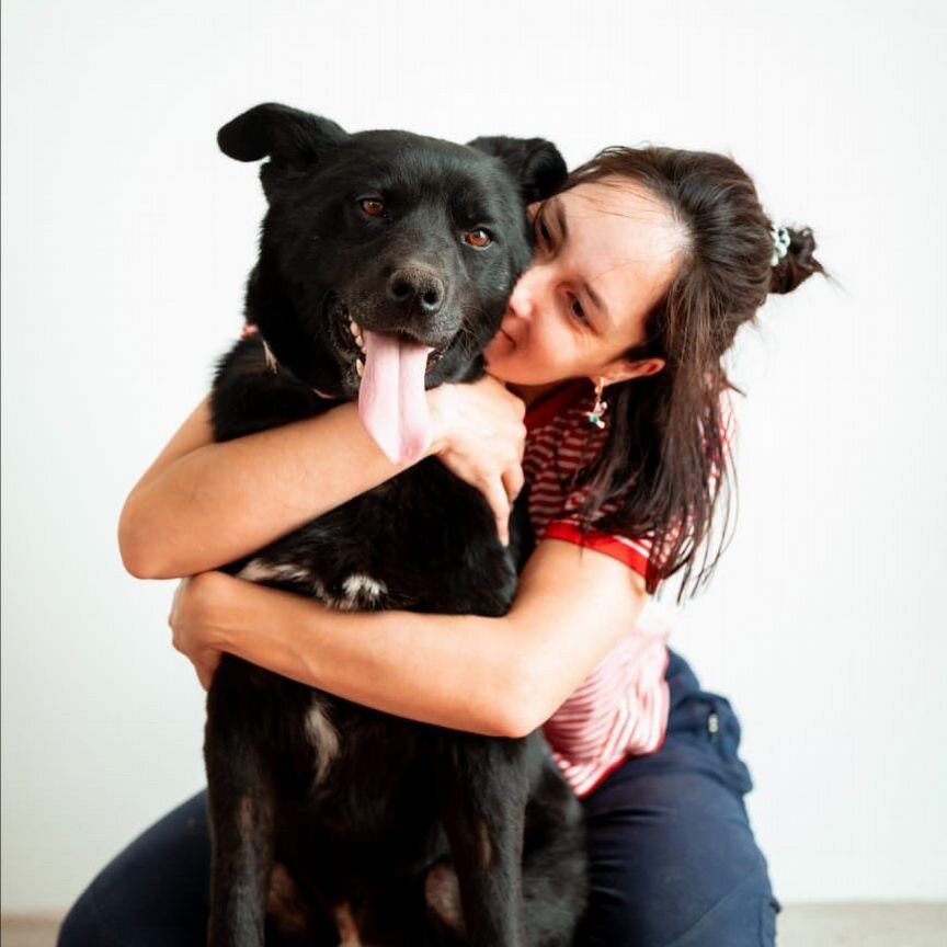 Собака в добрые руки