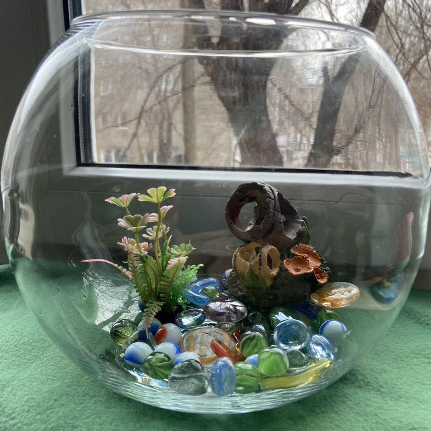 Аквариум шар 5 л