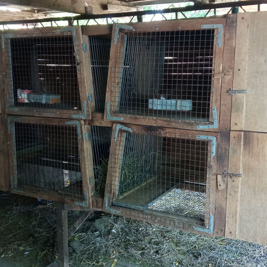 Клетка для кроликов