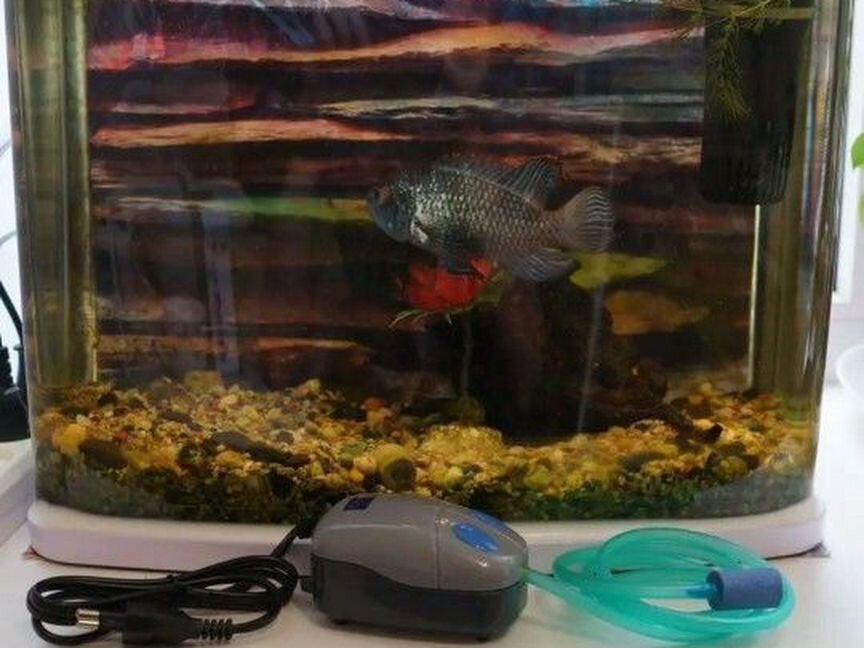 Компрессор для аквариума