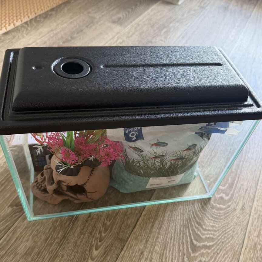 Готовый аквариум под ключ 10 литров