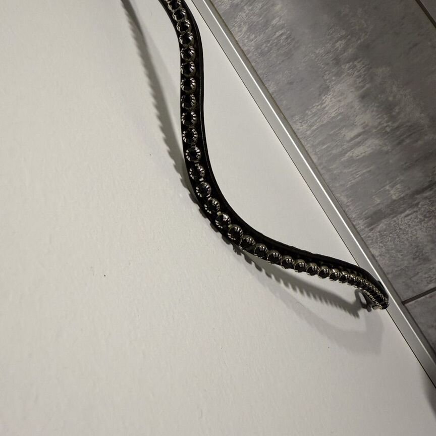 Налобник для лошади