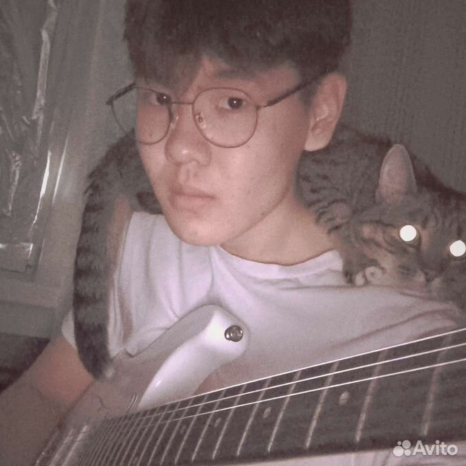 Котёнок ищет старых или новых хозяев