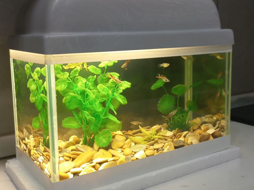 Аквариум с рыбками и оборудованием