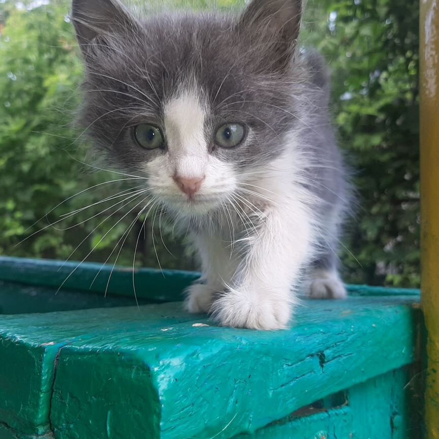 В самые добрые руки