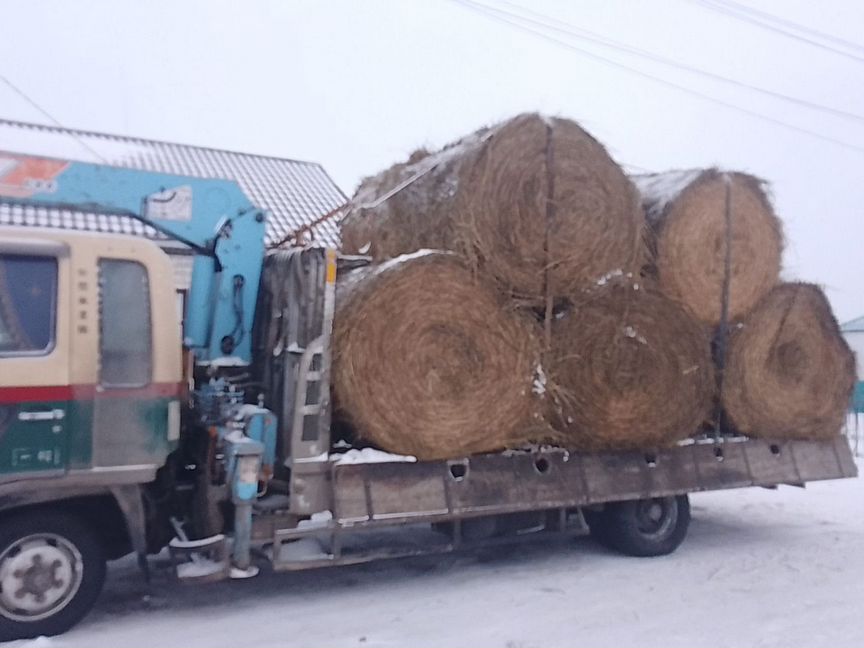 Сено солома в тюках