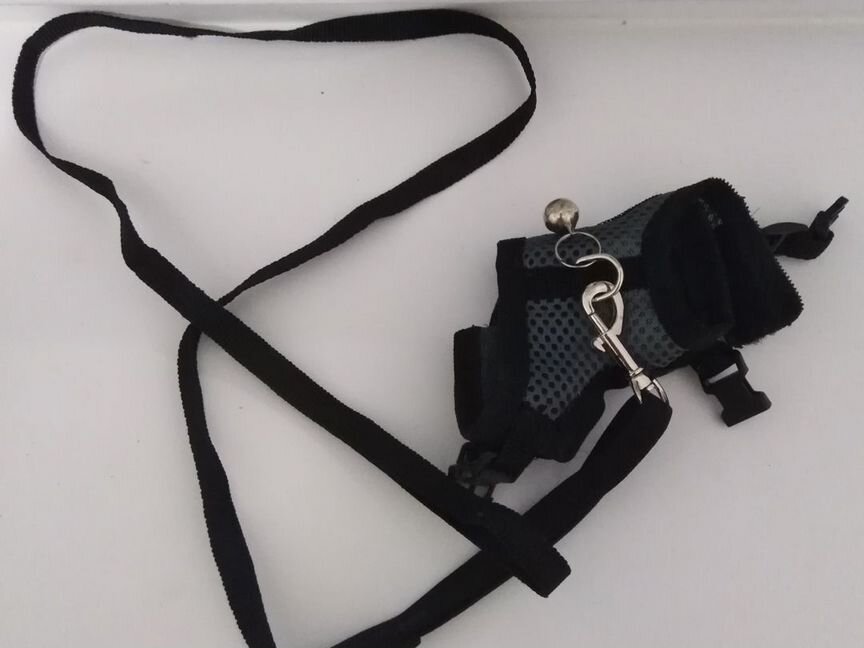 Поводок для крыс