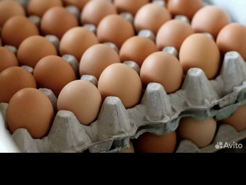 Яйцо куриное оптом с1,с2,со,св