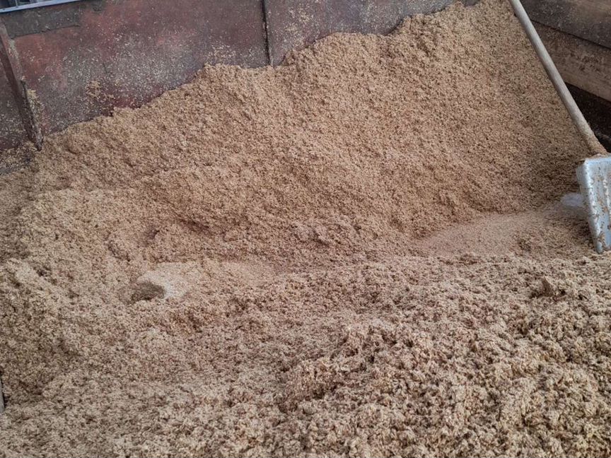 Пивная дробина