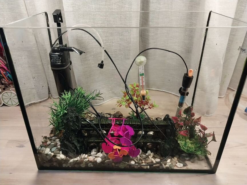 Аквариум для рыбок 50л