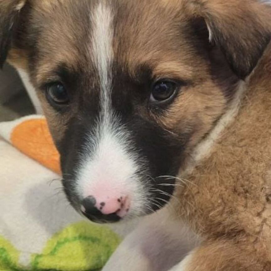 Терри ждёт своего человека