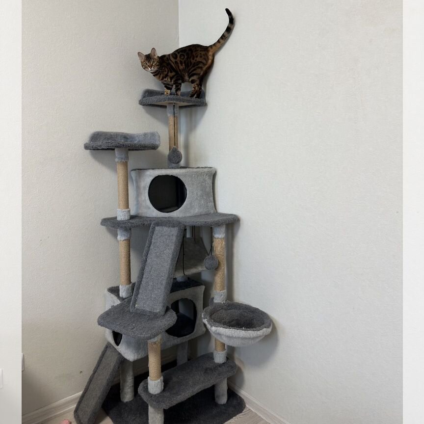 Домик когтеточка Игровой комплекс для кошек