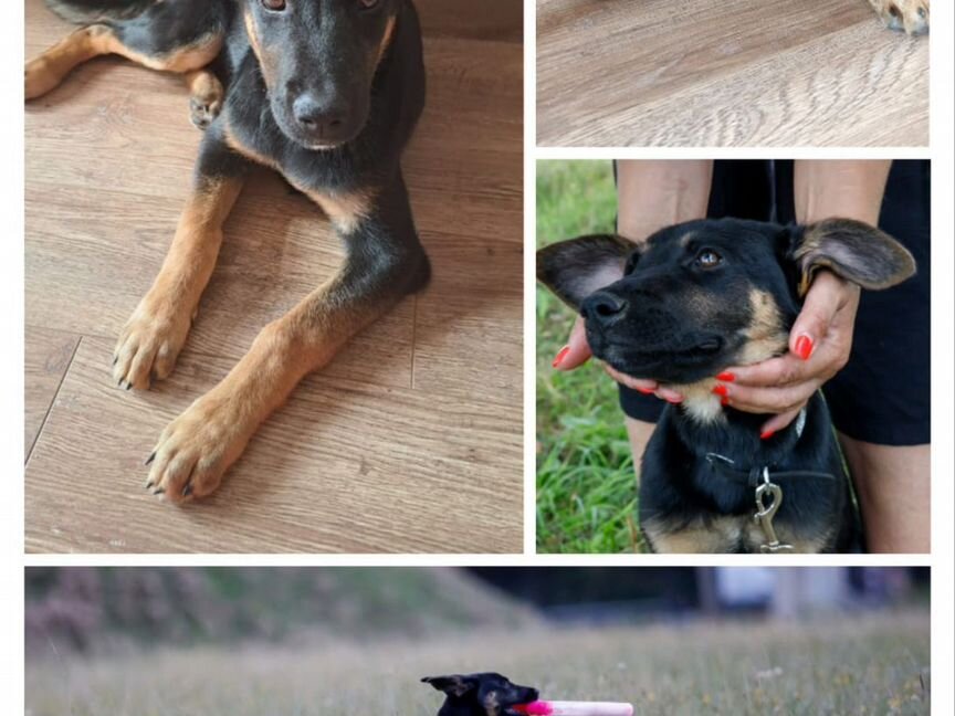 Малышка Юми в поисках своей лучшей любящей семьи