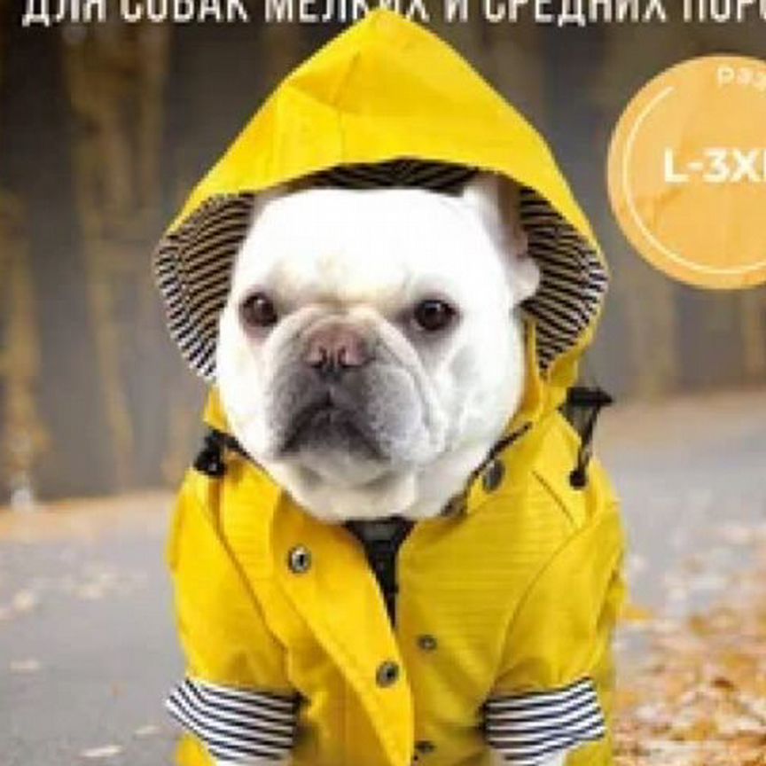 Дождевик для собаки маленькой и средней породы