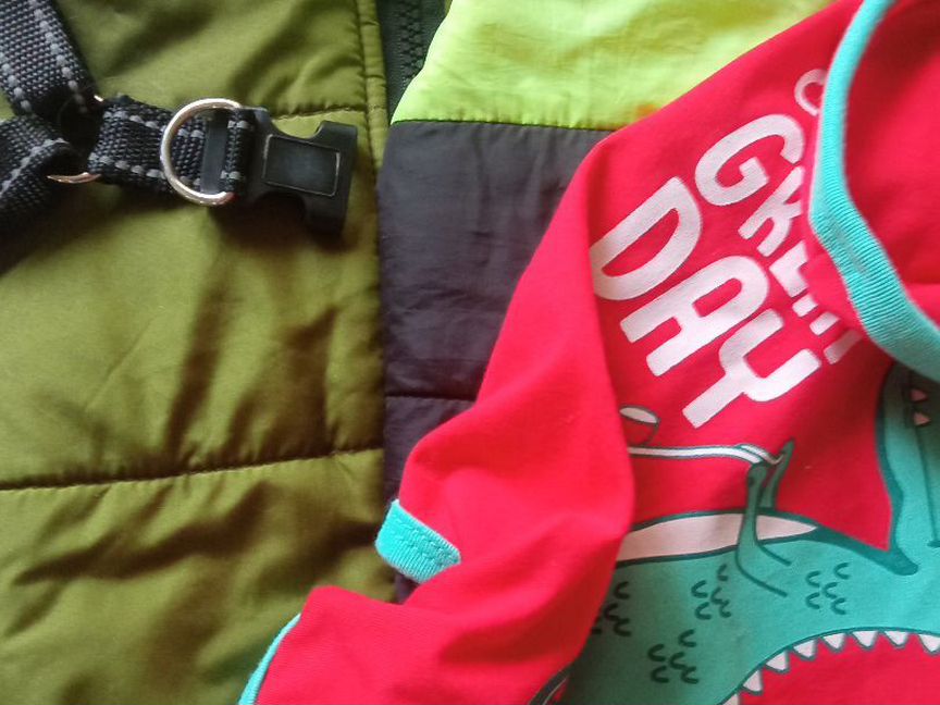 Куртки и футболка для собачки