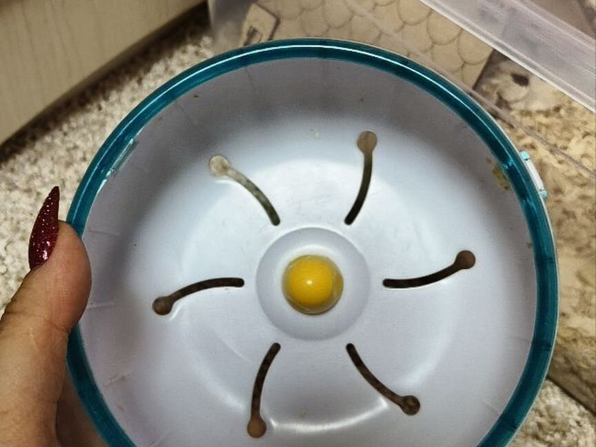 Колесо для хомяка