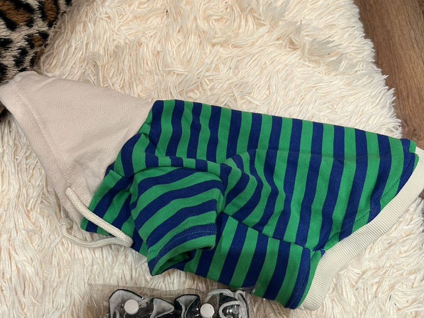 Одежда для собаки (толстовка и кеды для собаки)