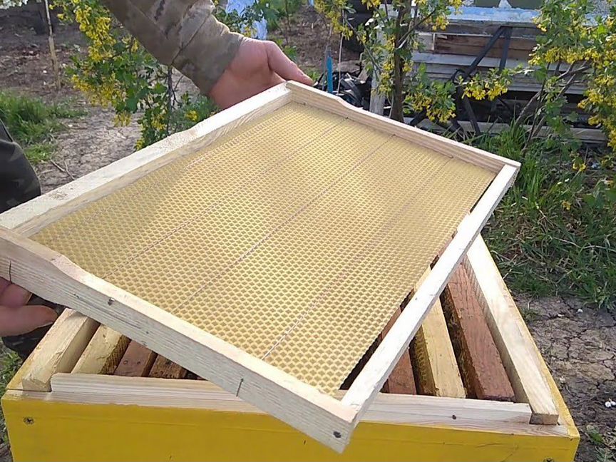 Вощина для Пчел