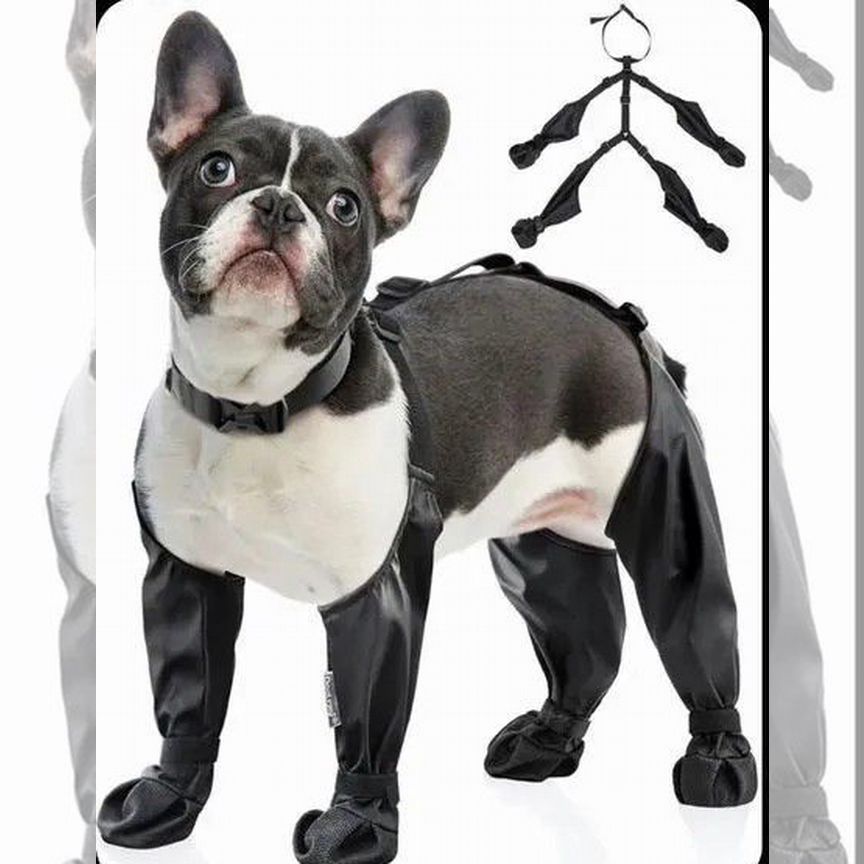 Обувь для собак Ботинки для собак на подтяжках