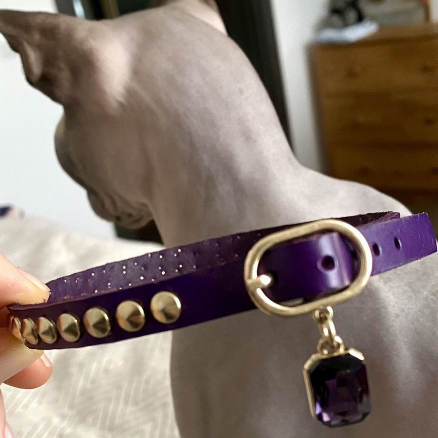 Ошейник для собак