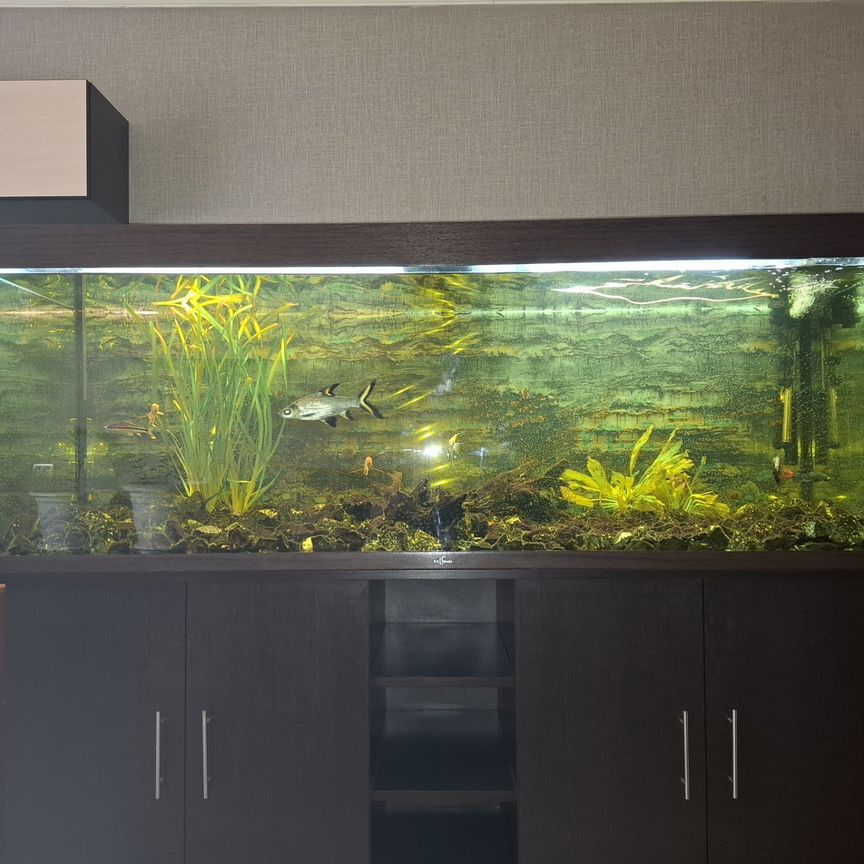 Биодезайн аттол 1000