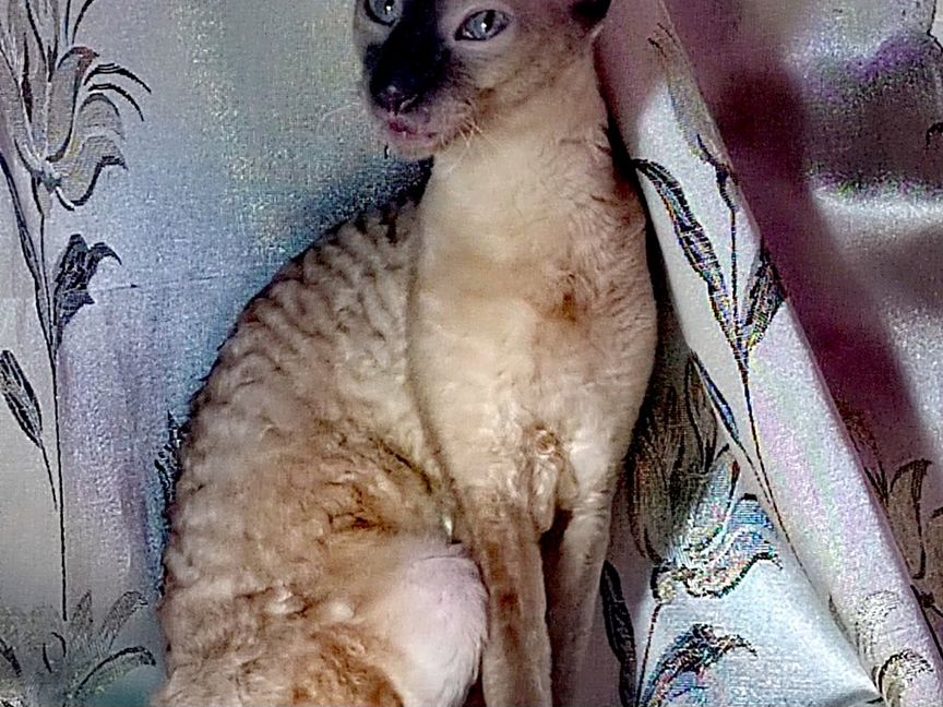 Самая нежная девочка