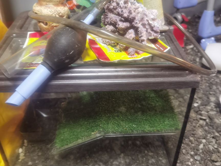 Аквариум и аксессуары