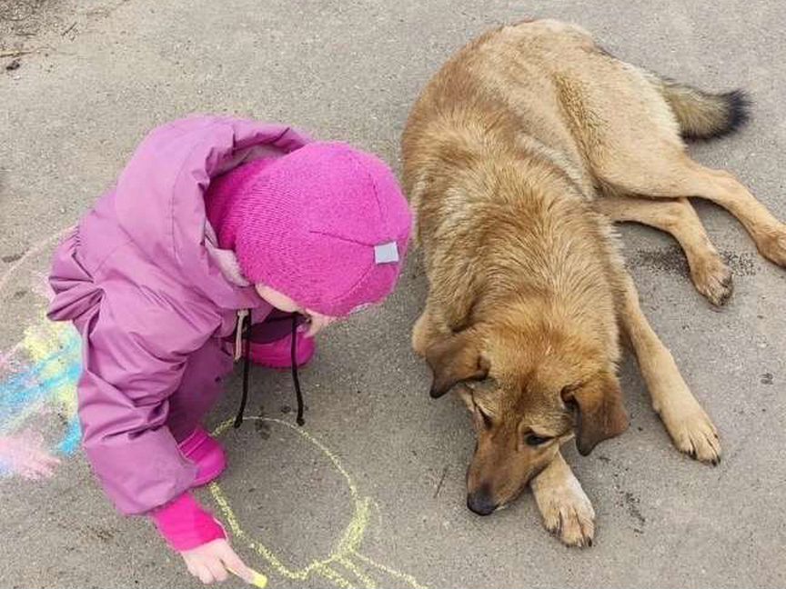 Пëс (прочитайте )
