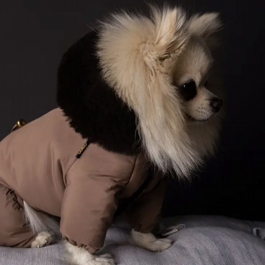 Комбинезон для собак мелких пород