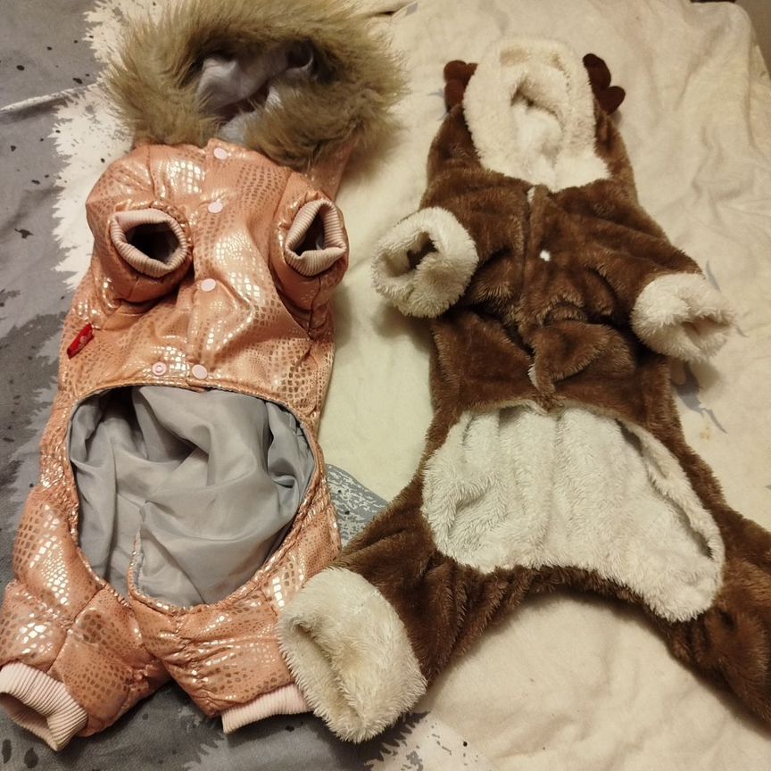 Одежда для собак мелких пород зима девочка