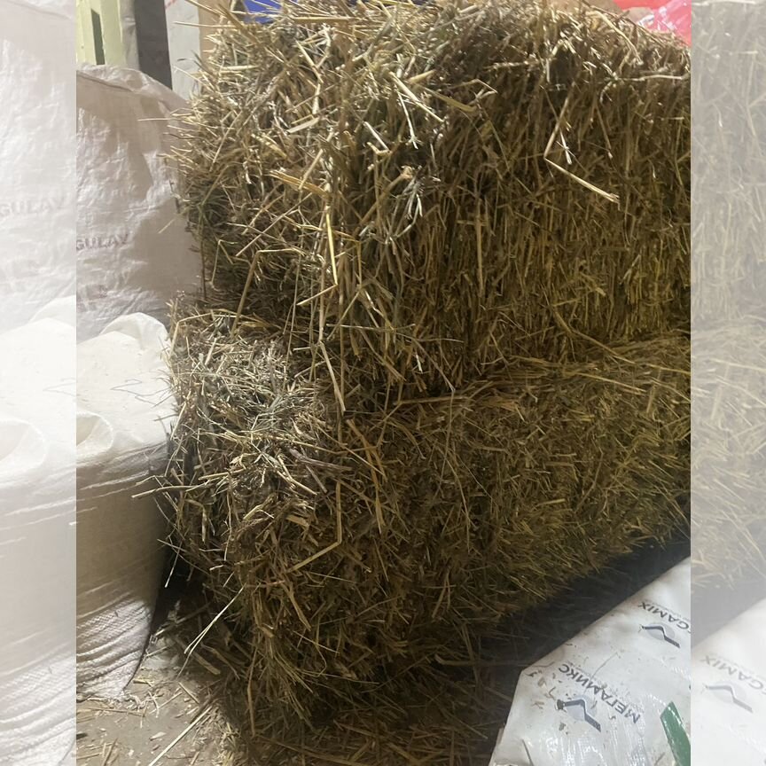 Сено. Солома опилки