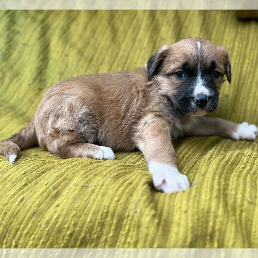 Мальчик возраст 1 месяц