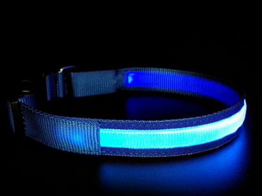 Светящийся ошейник