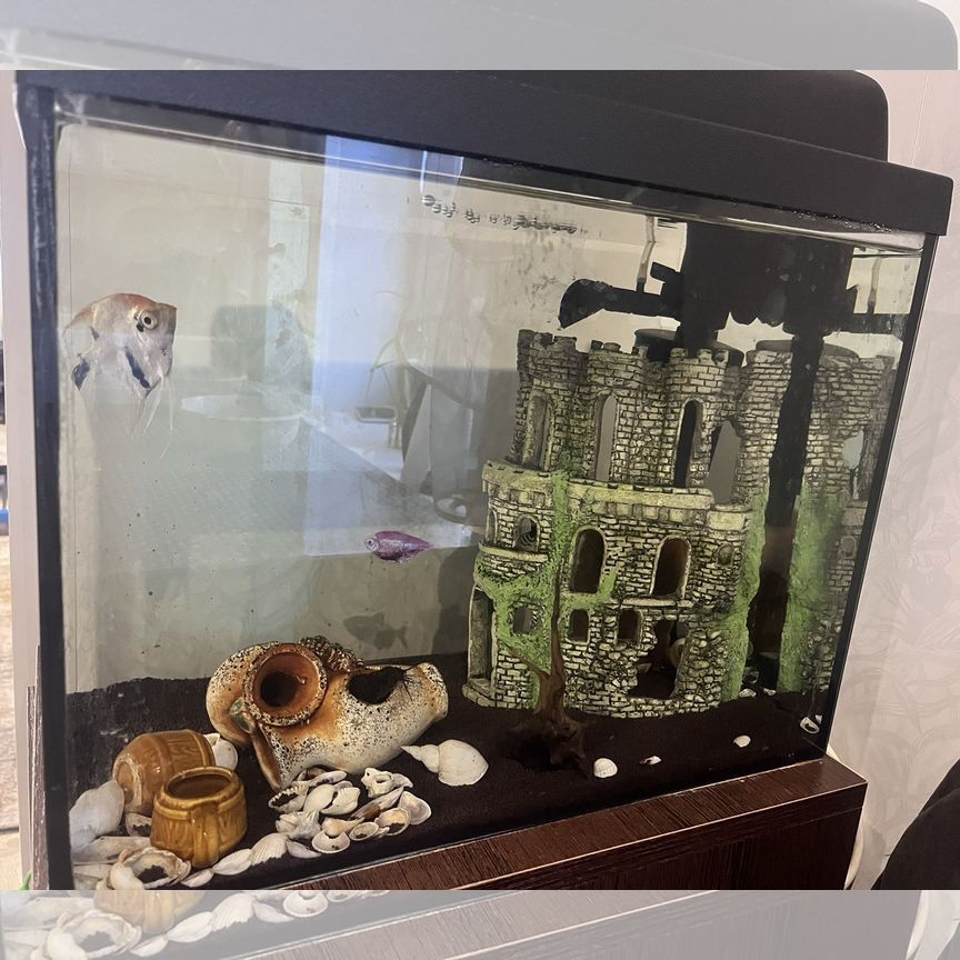 Аквариум с рыбками