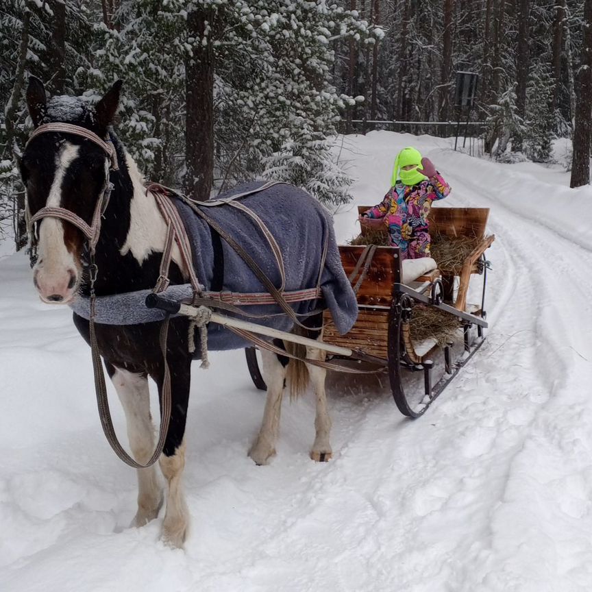 Сани телега для лошади, сани для снегохода