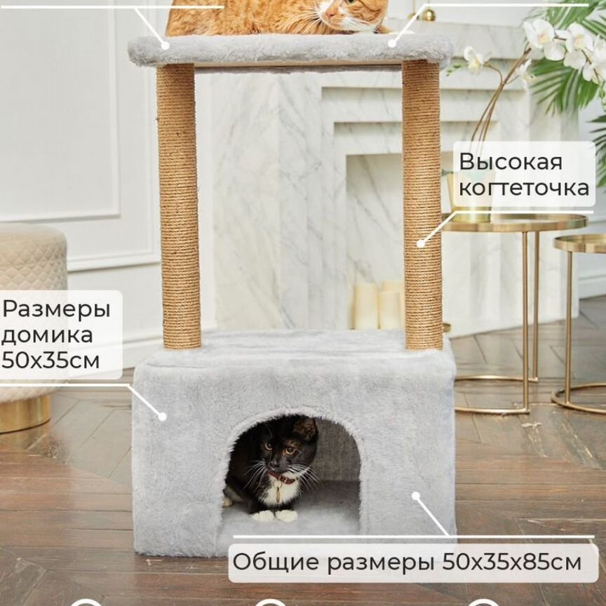 Когтеточка