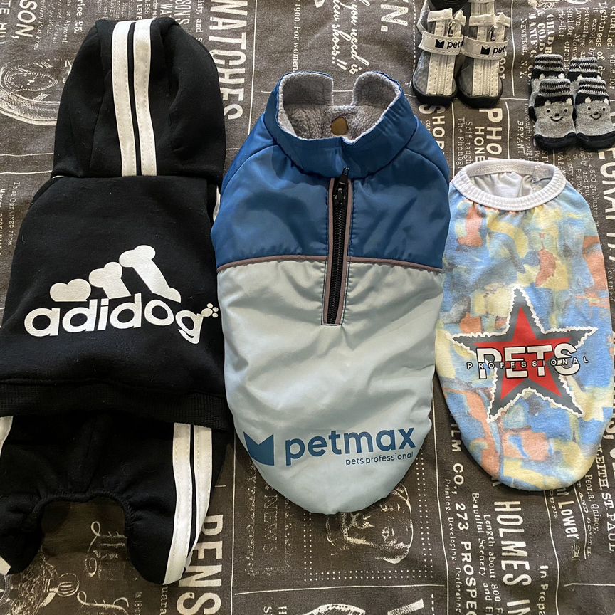 Вещи для маленьких собак пакетом