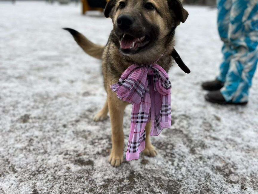 Лампа, такая крохотная ищет семью. Некрасова