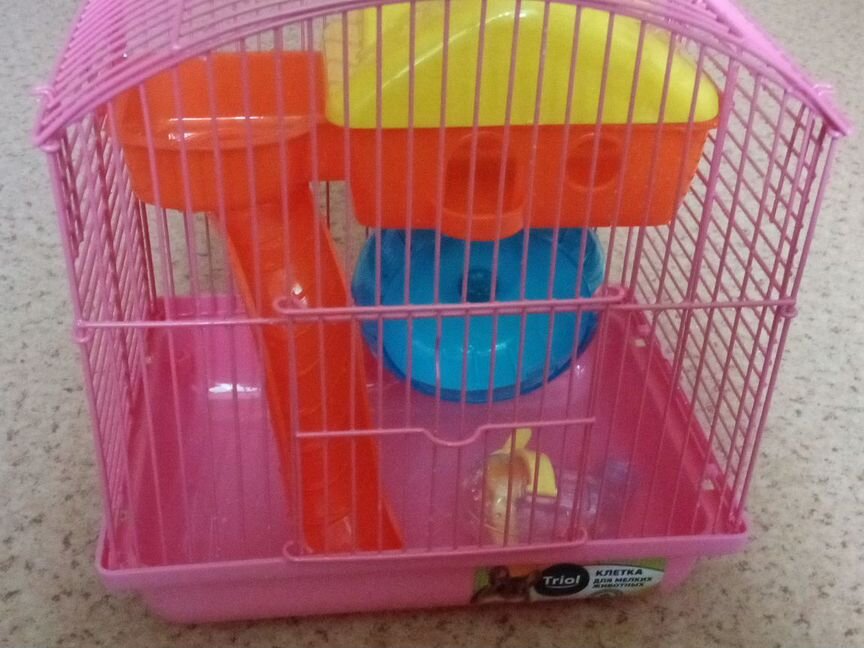 Клетка для джунгарика
