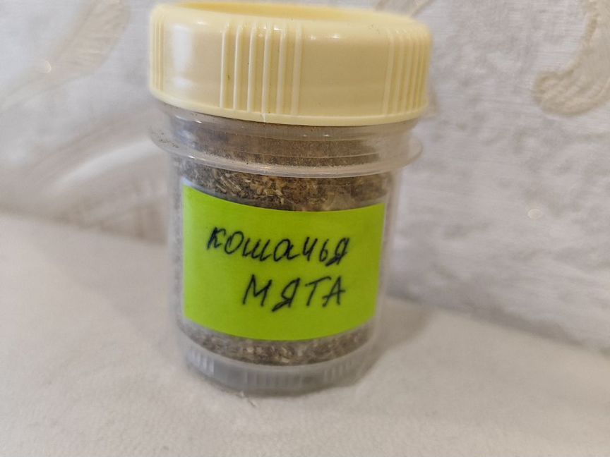 Кошачья мята