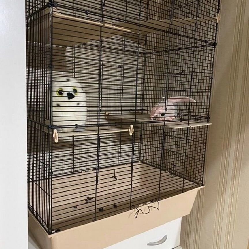 Клетка для крупных грызунов